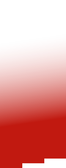 Desarrollo - PSIGMA CORP