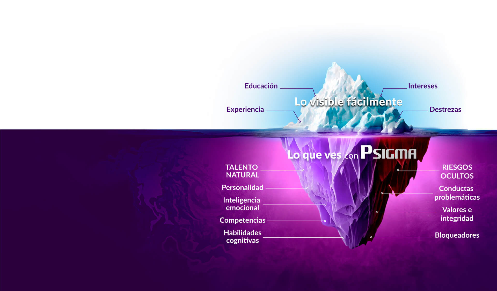 Inicio - PSIGMA CORP